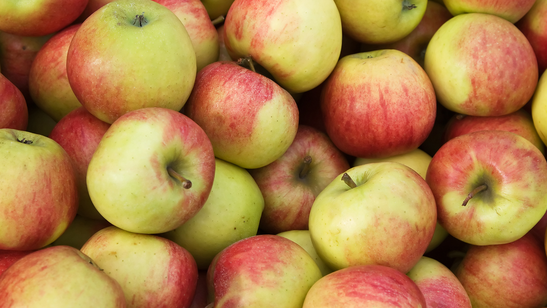 9 tips voor de perfecte appeltaart - Heel Holland Bakt