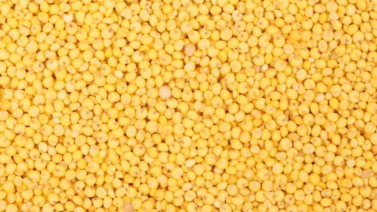 Bakkers klaar? Glutenvrij bakken maar! - Heel Holland Bakt