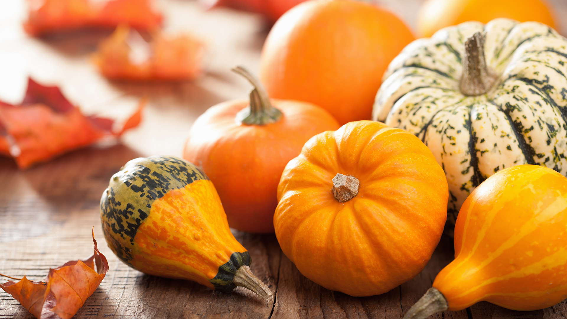 Wat maakt pompoenen gezond? - Heel Holland Bakt